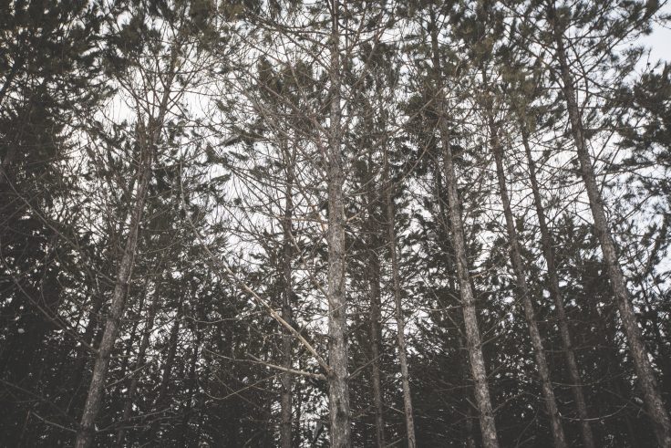 10 raisons de faire de l’Abitibi-Ouest ton plan A!